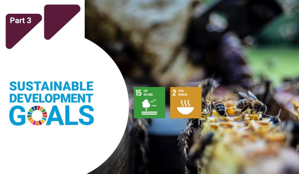 Harmony in Diversity: Unraveling the Symphony of SDGs and Biodiversity ...