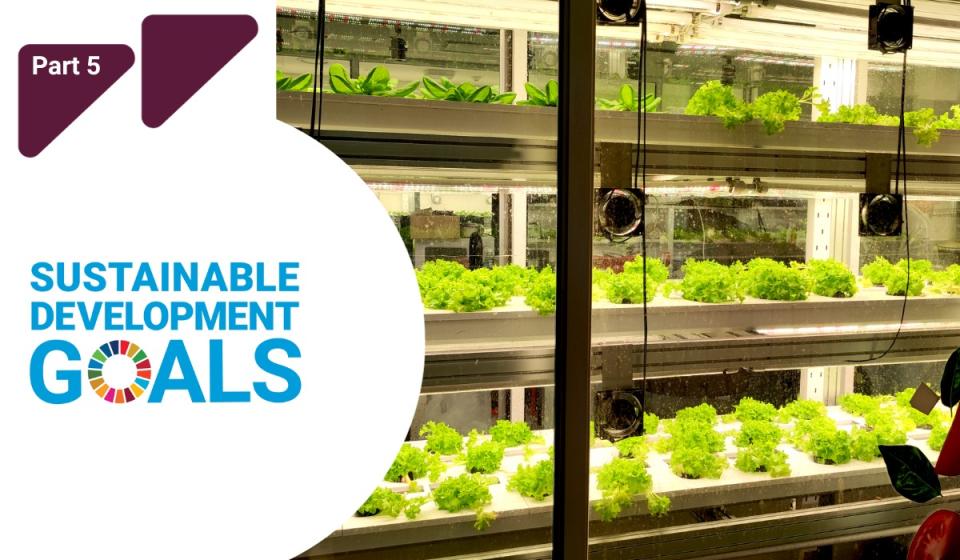 Beyond the Technological Mirage: Paving the Way for Equitable Food Systems