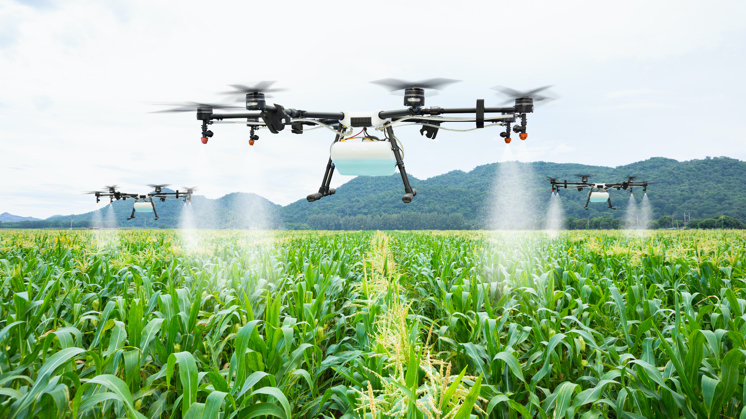 After the smart city: smart farming and the politics of uneven ...